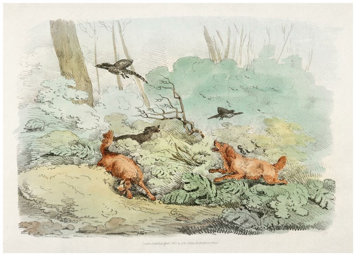 Постер / Плакат / Картина Собаки и птицы 50х70 см в подарочном тубусе