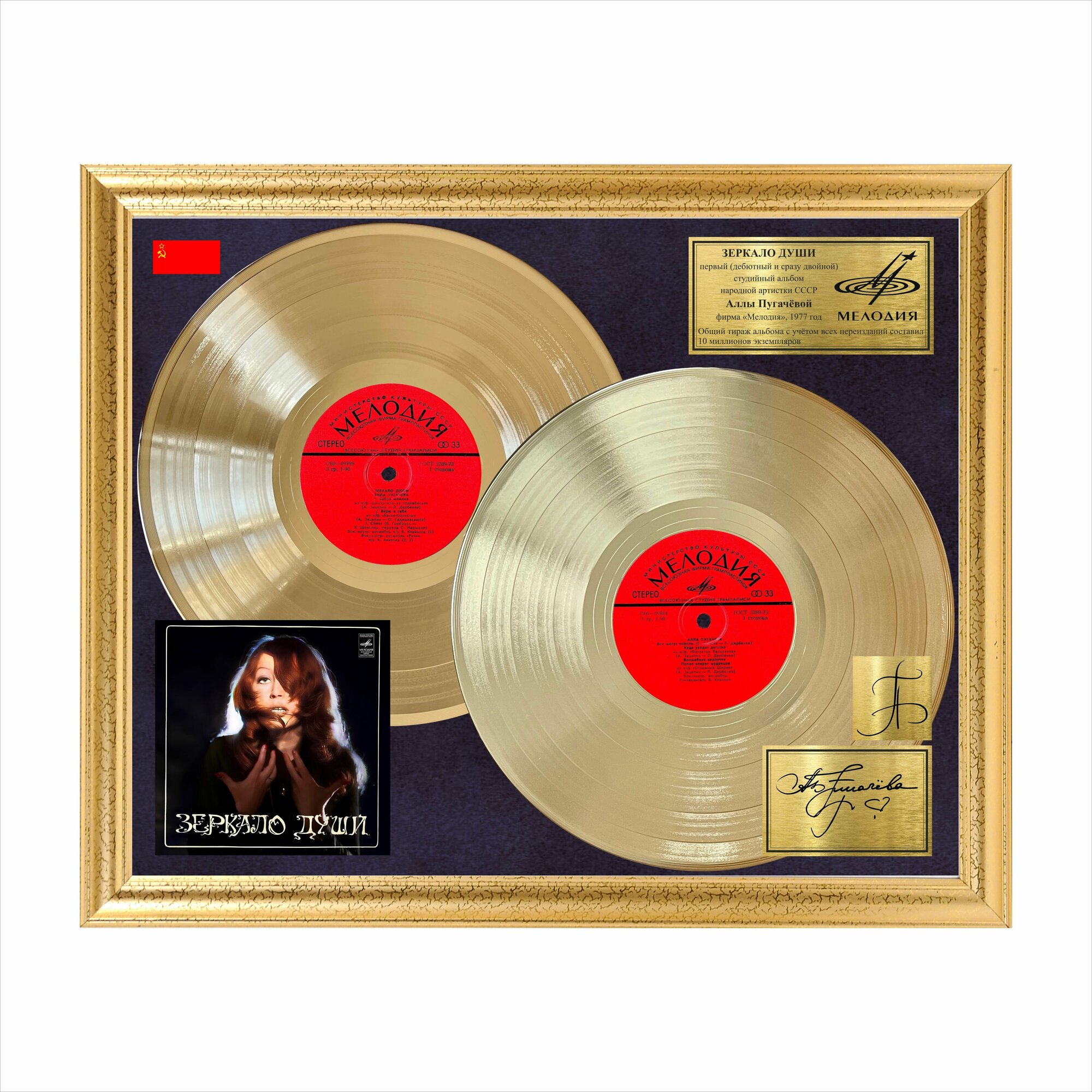 Алла Пугачева золотая виниловая пластинка в рамке