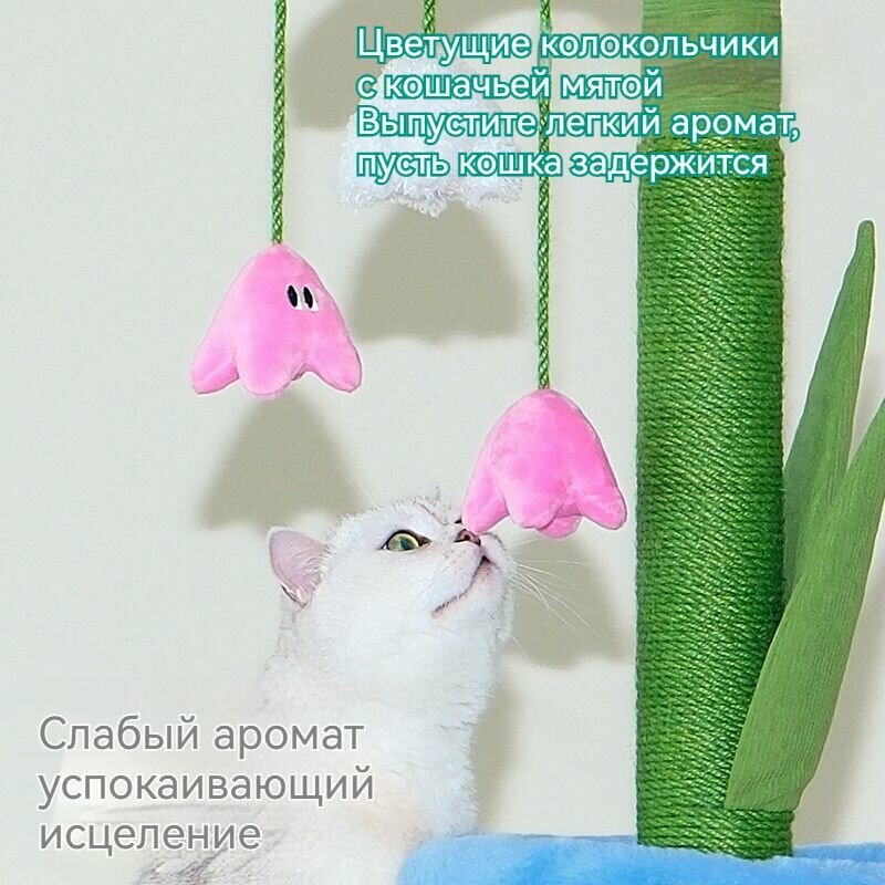 Когтеточка