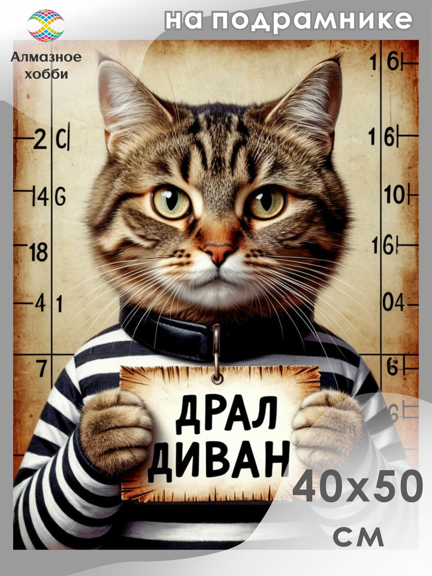 Алмазная мозаика на подрамнике Кот с табличкой 40х50