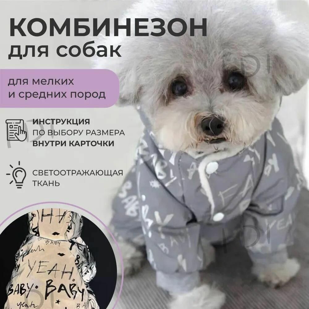 Одежда для животных