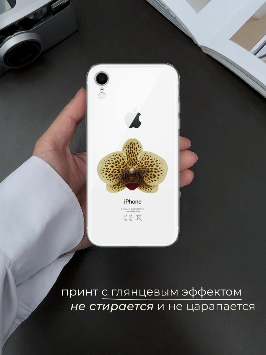 Чехол на Apple iPhone XR / Айфон XR с принтом Желтая орхидея — фото 1