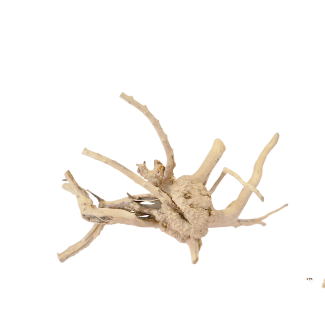 Рододендроновый корневой дрифтовый лес декор для аквариума: погруженный деревянный орнамент для ландшафтирования аквариума, террариума, микроландшафтов, размер натурального дерева 25-30СМ, предварительно обработанный для немедленной погружения,