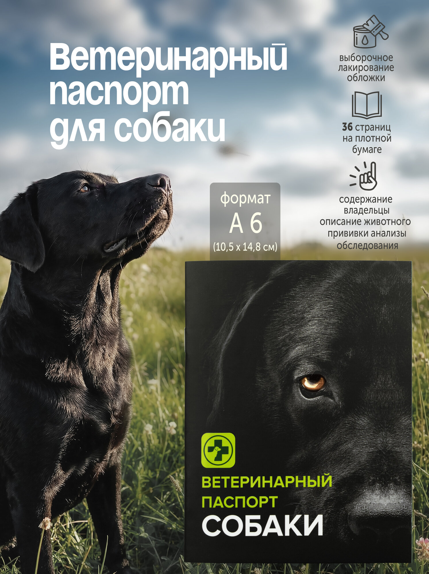 Ветеринарный паспорт для собак, размер 15x11 см, черный/белый, ZooMoDa