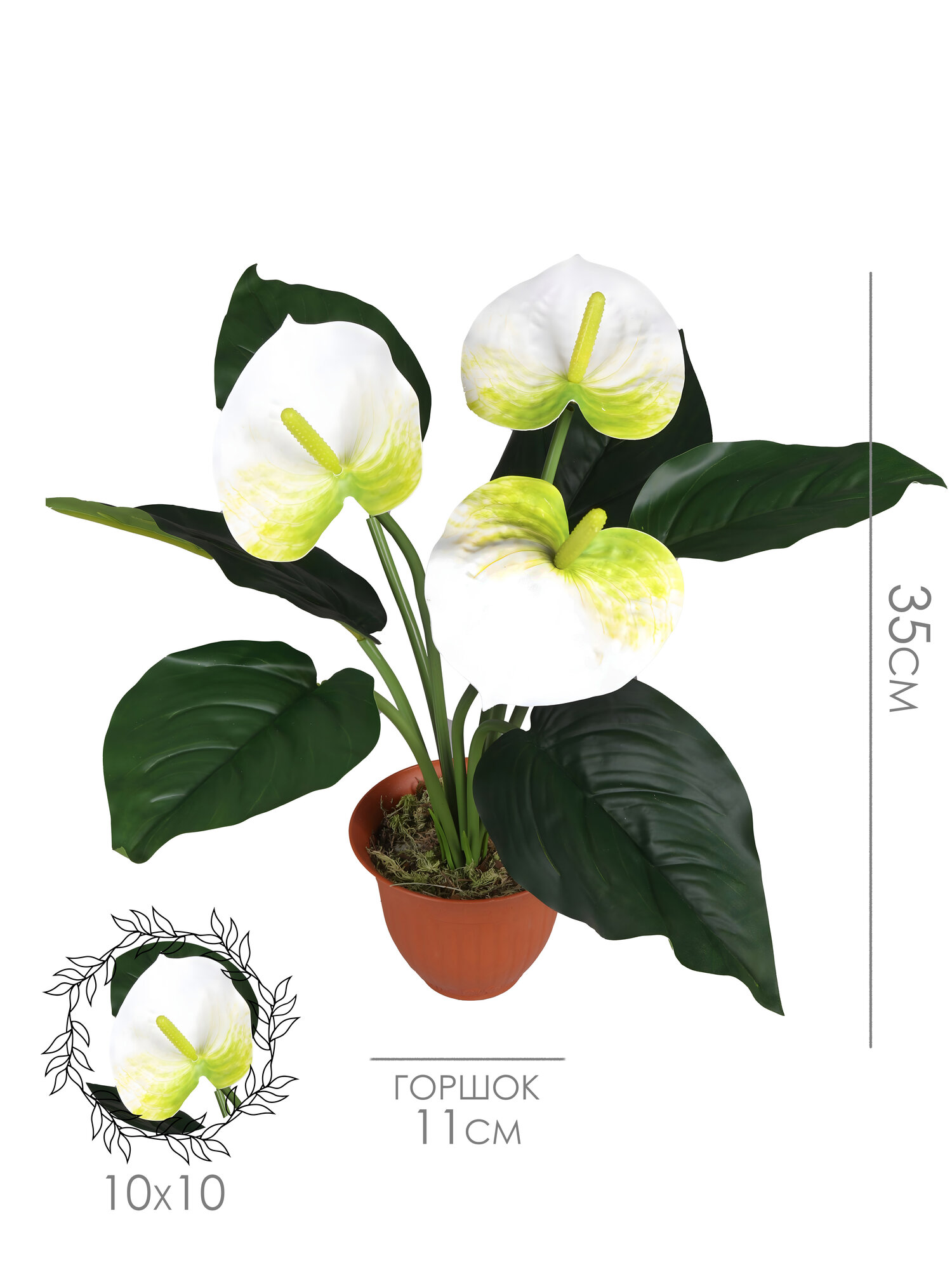 Искусственный Антуриум в горшке от бренда Holodilova