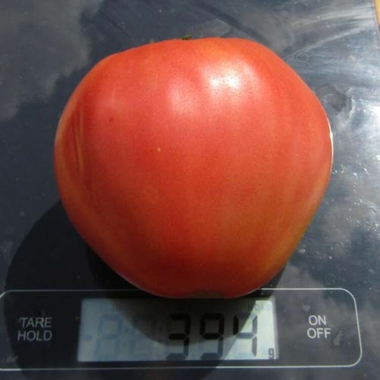 Семена Томат Сердце Минусинска 20 шт.