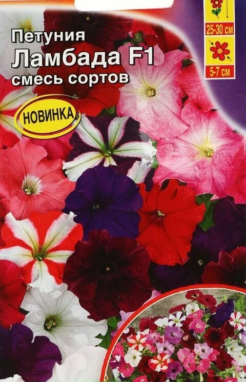 Семена растения петуния ламбада f1 многоцветковая, смесь сортов