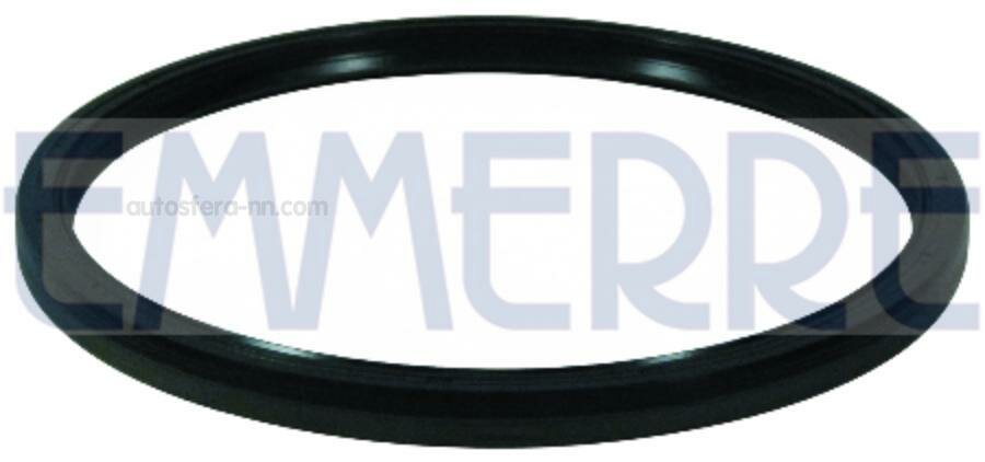 EMMERRE 101506 сальник ступицы ! зад внутренний 180x200x12 \Iveco