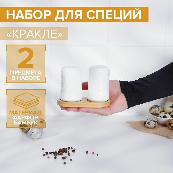 Набор для специй Доляна фарфоровый "Кракле", 2 предмета солонка, перечница