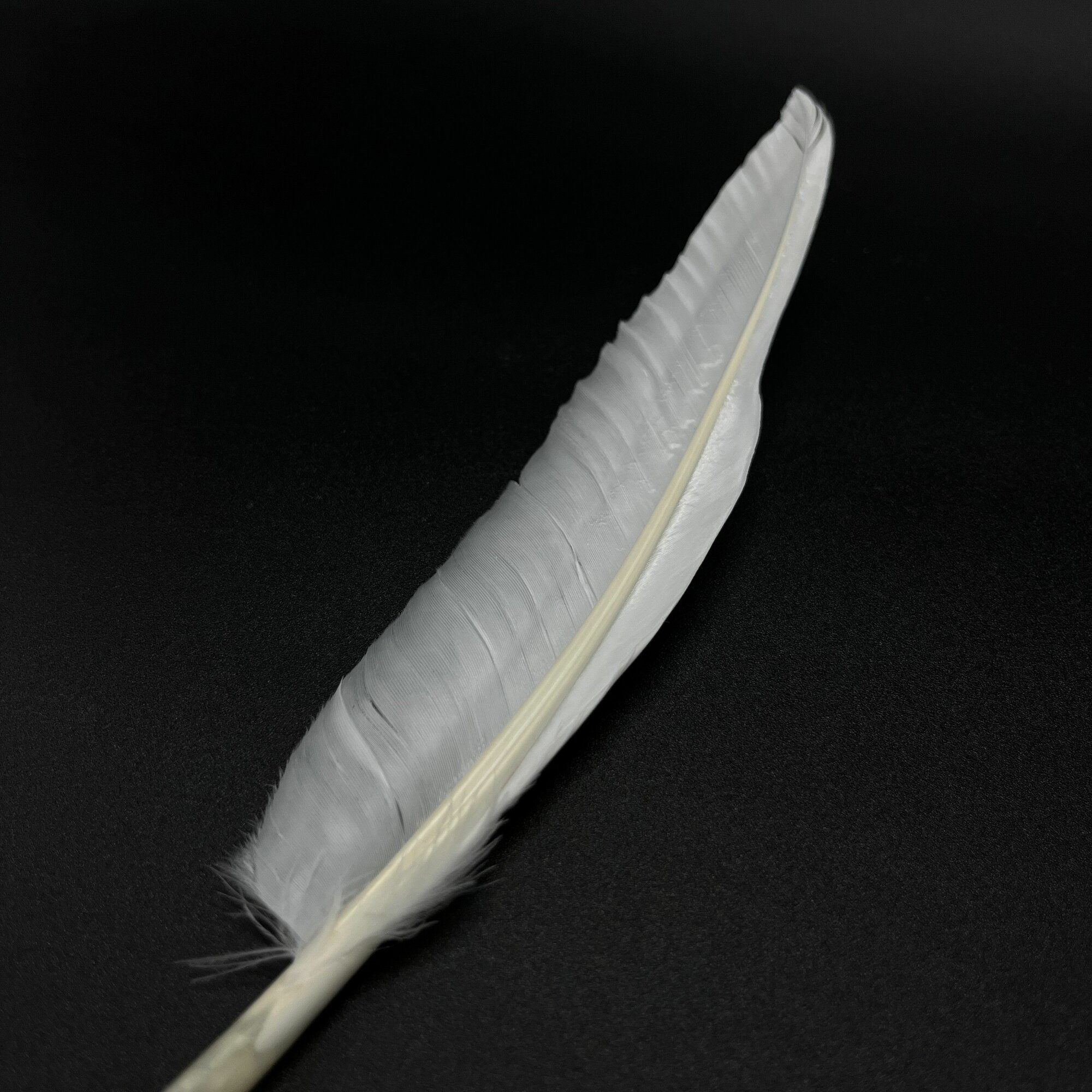 Ручка-перо со стержнем — фото 1