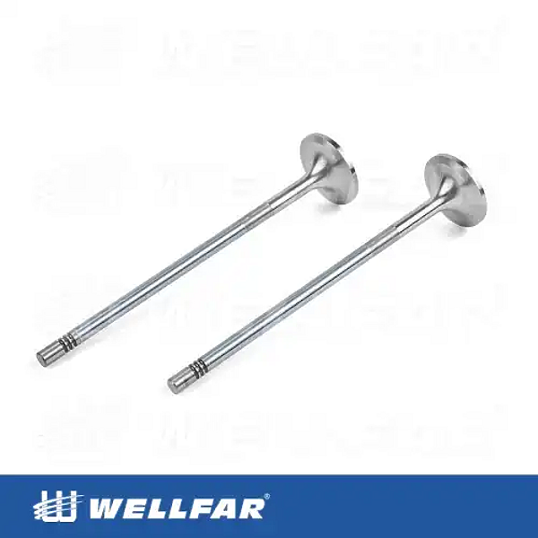 WELLFAR 101-216100 (101216100_WL2) клапан впускной 42x8x192 25град.\ Volvo (Вольво) fh / fm d13a / d13b