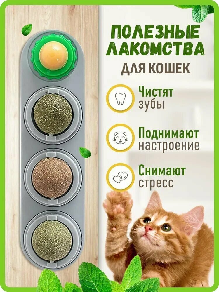 Игрушки для кошек, кошачья мята, леденец для кошек, шарик на стену