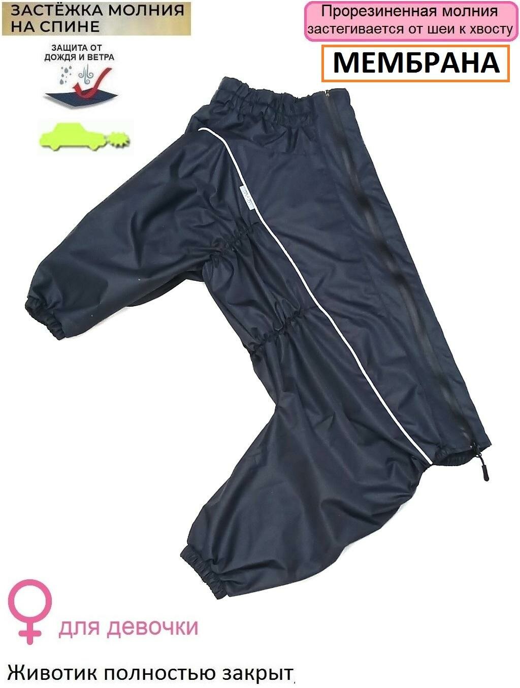 Дождевик для собак средних и крупных пород. Девочка. Мембрана (55-2 девочка)