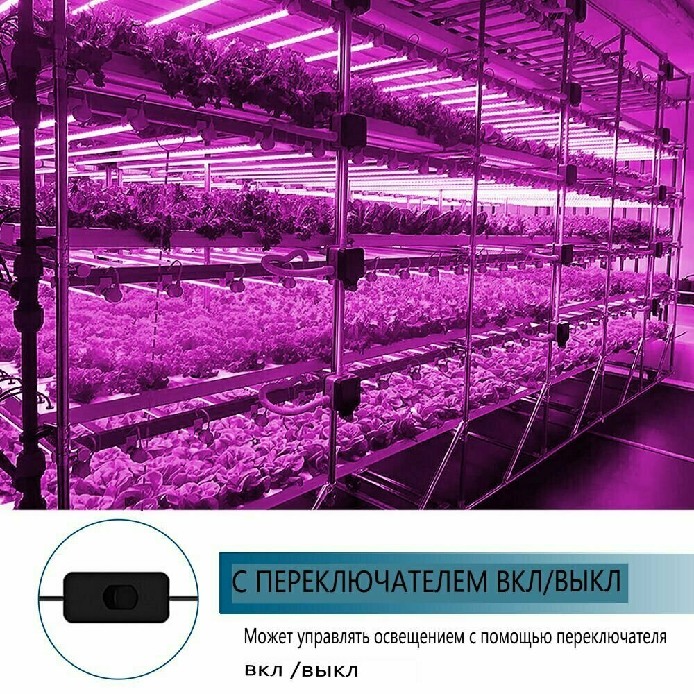 Фитолента — фото 1