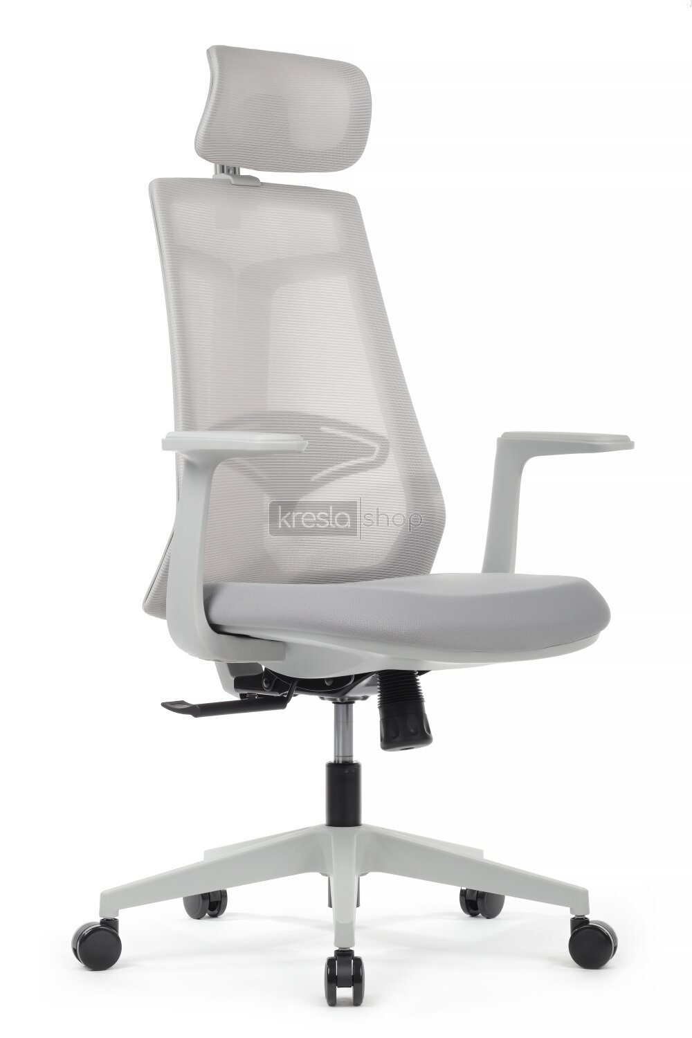 Кресло для руководителя Riva Design Gem 6230A-HS серое