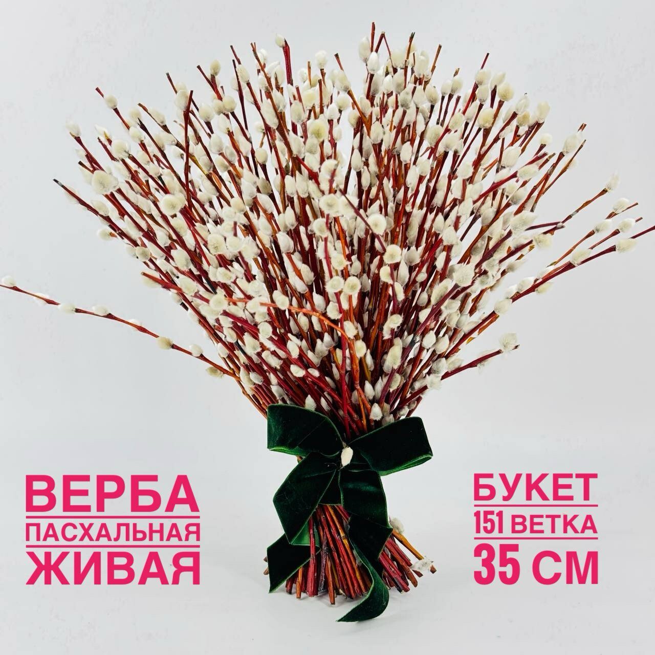 Пасхальный букет из вербы. Живая верба красноталка. Подарок на Пасху, Вербное Воскресение