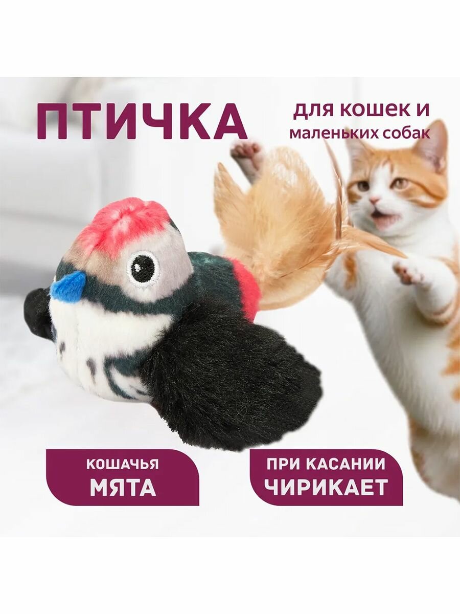 Игрушка для кошек с кошачьей мятой и чирикающим эффектом "Чёрная птичка" FOFOS NEW, DCF18658
