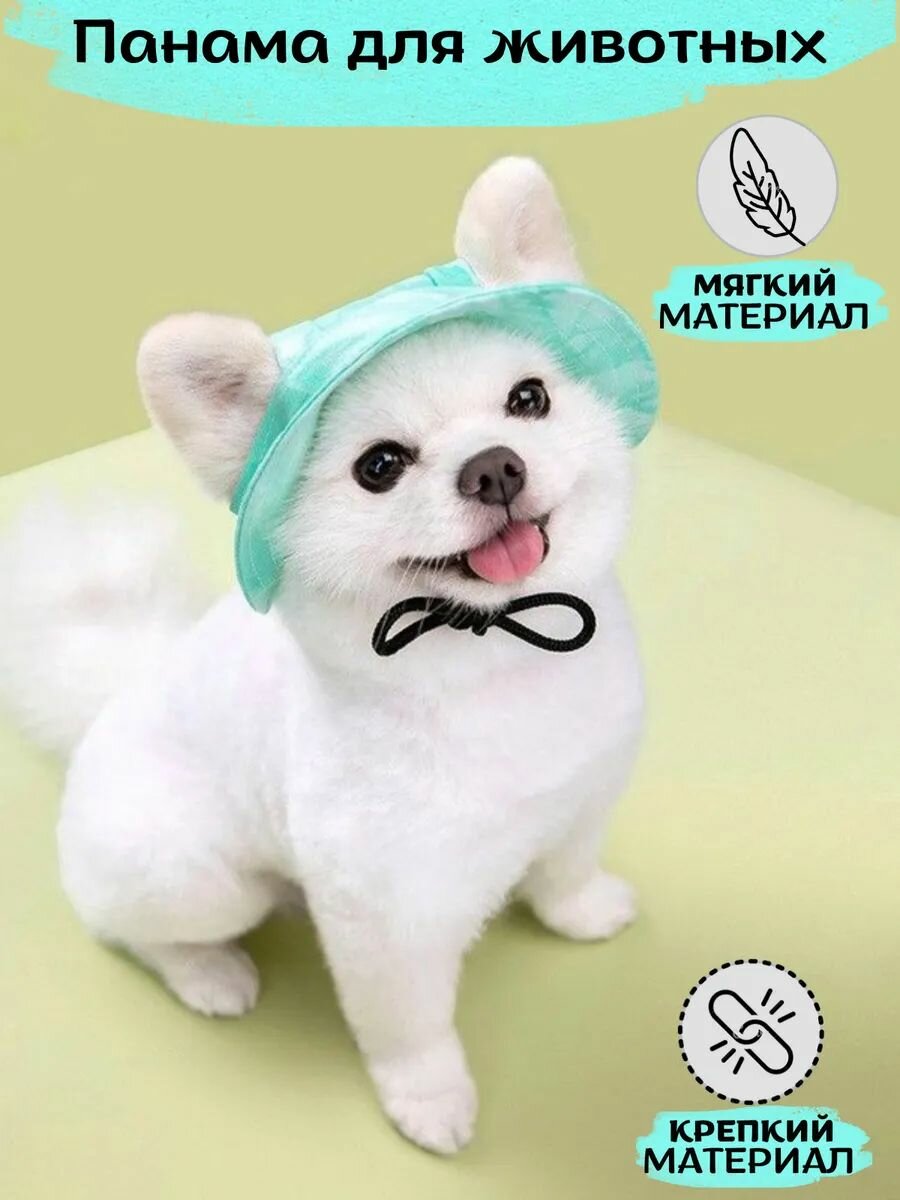 Кепка для собак и кошек