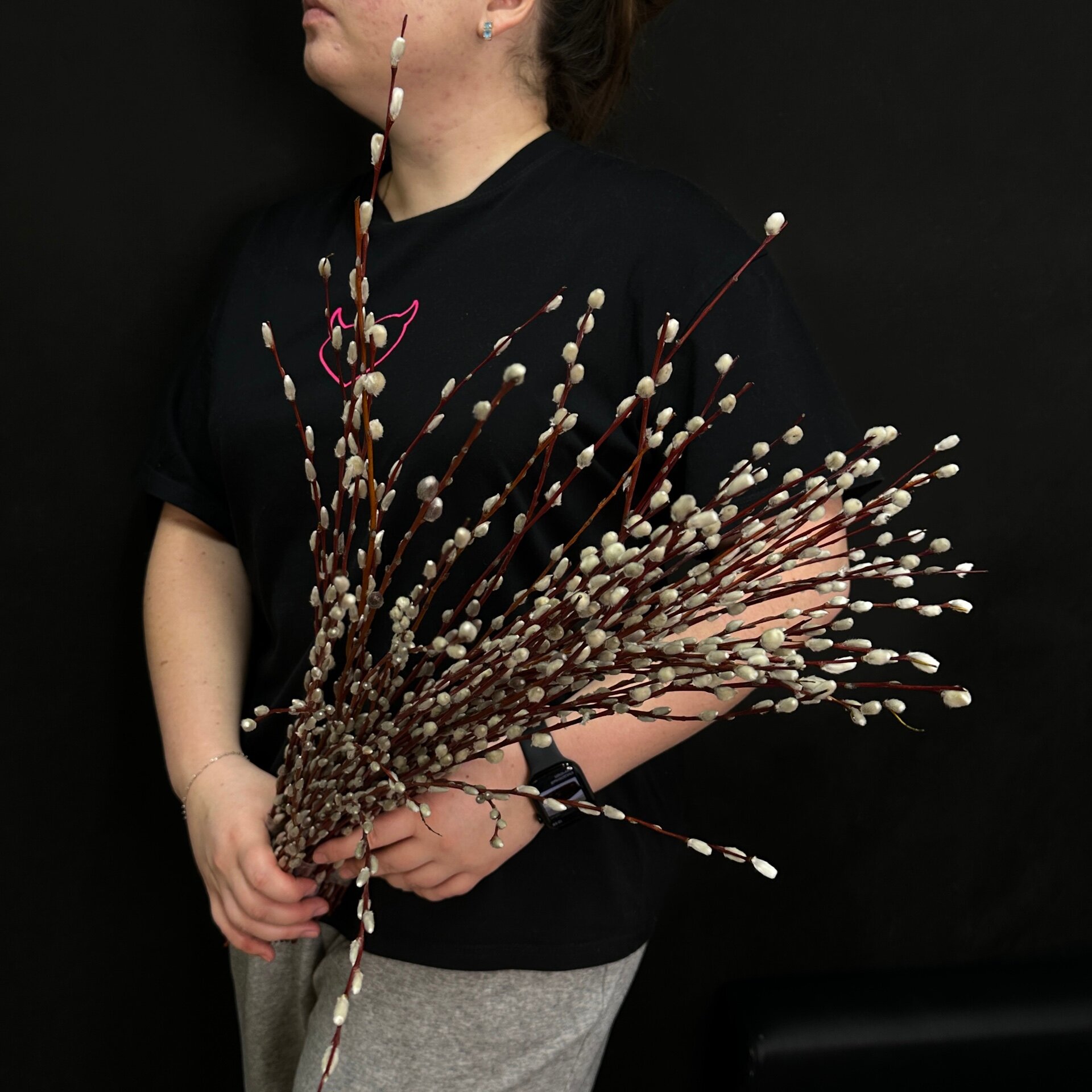 Верба натуральная / Пучок / Монобукет из живой вербы 50-60 штук