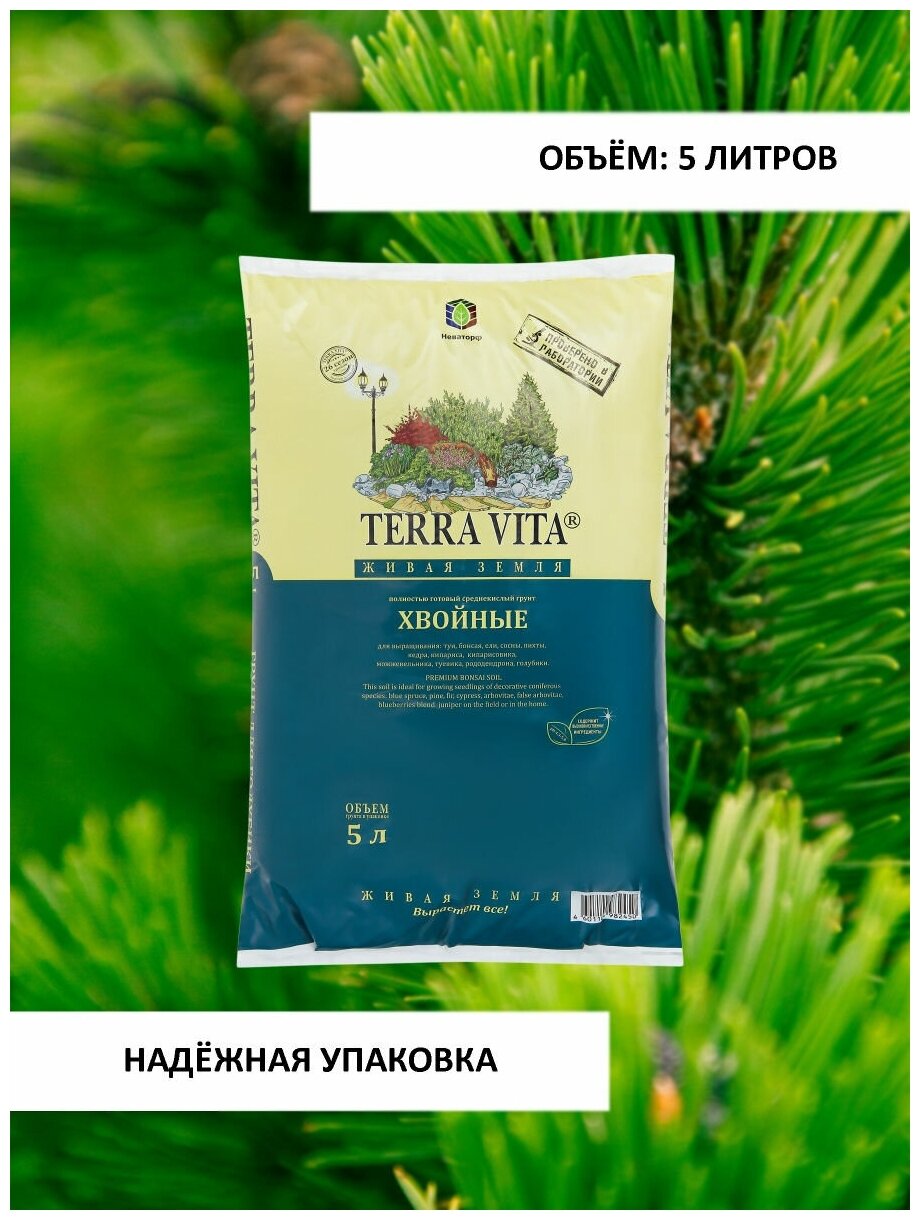 Грунт для растений Terra Vita Живая Земля хвойный / грунт для рассады / грунт для деревьев 5л