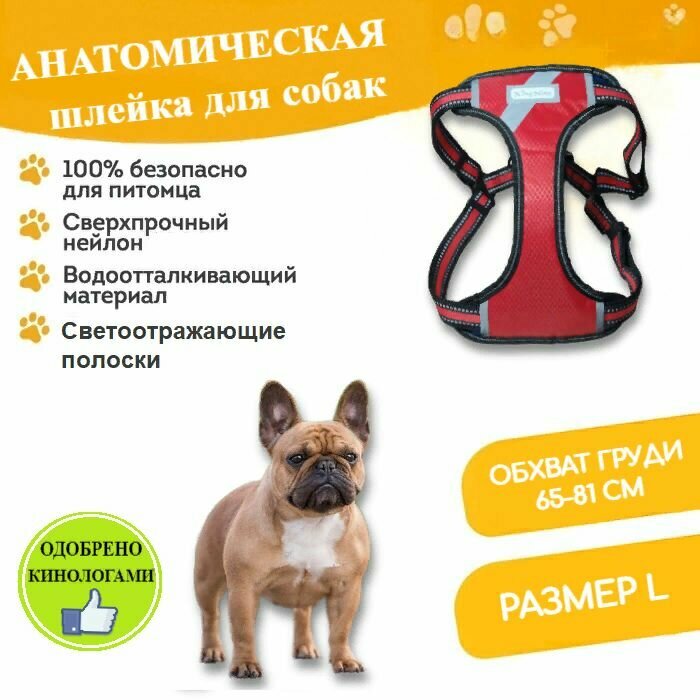 Шлейка для собак средних и крупных пород Xing Ning анатомическая обхват груди L (65-81 см), с поводком 120 см светоотражающая красная