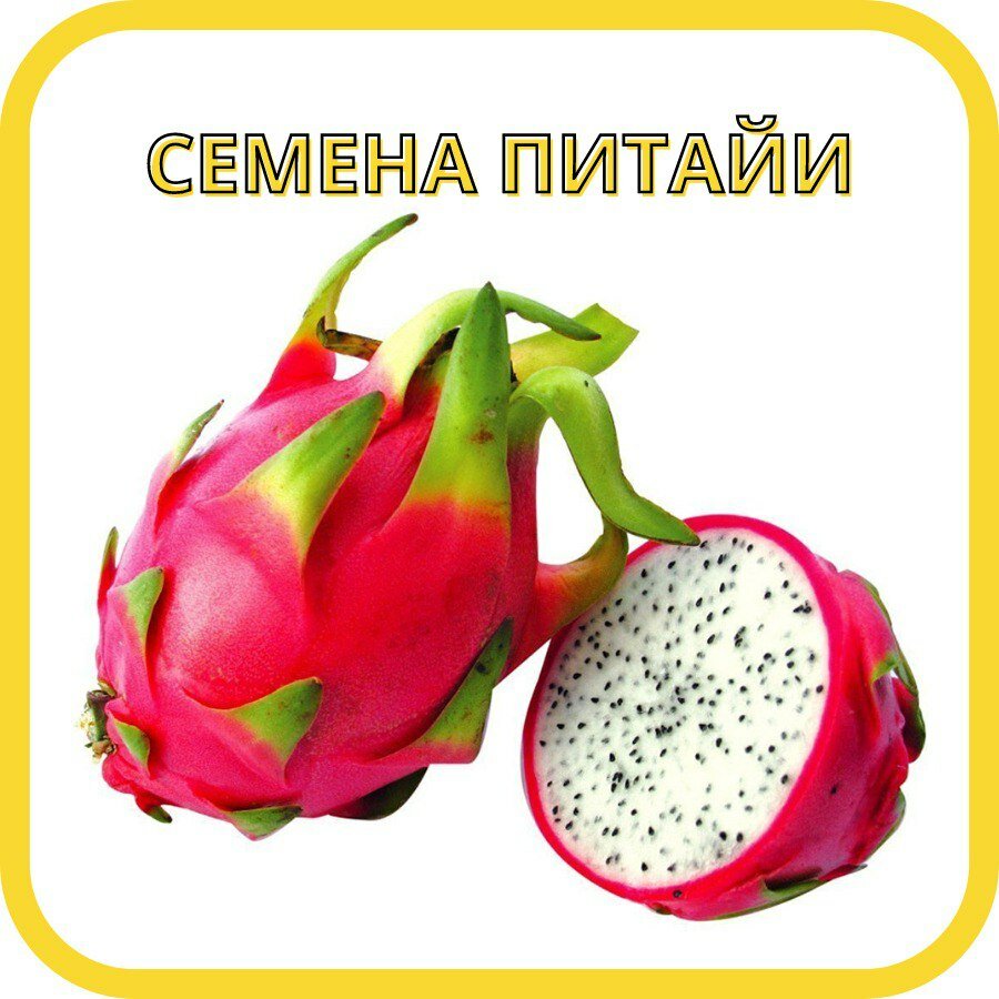 Семена питайи