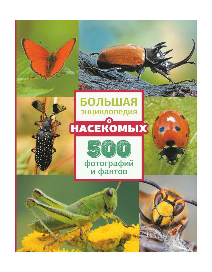 Большая энциклопедия о насекомых. 500 фотографий и фактов
