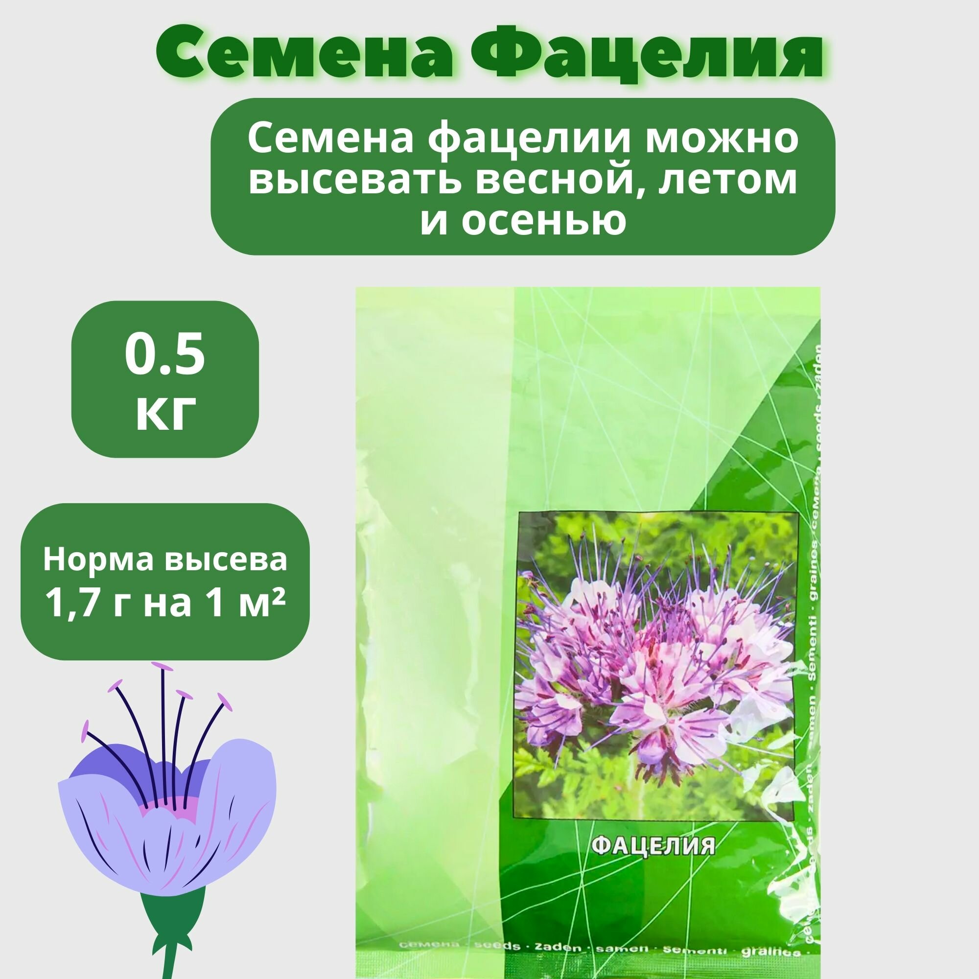 Семена Фацелия для выращивания на даче 0,5 кг полезное медоносное растение, благоприятно воздействующее на почву, делающее ее более рыхлой и плодородной, обогащая органикой и минералами