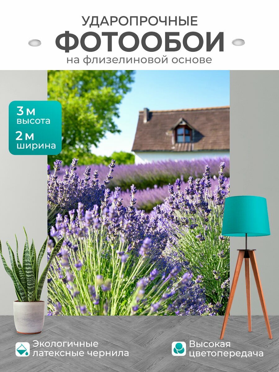 Фотообои моющиеся ударопрочные на кухню "В стиле прованс с изображением лаванды и себя на фоне старинного домика" 200x300 см. флизелиновые на стену