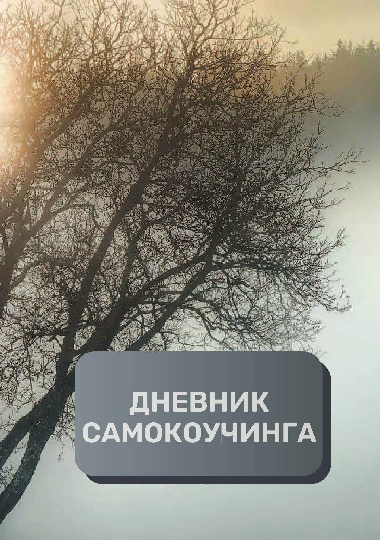 Дневник самокоучинга — фото 1