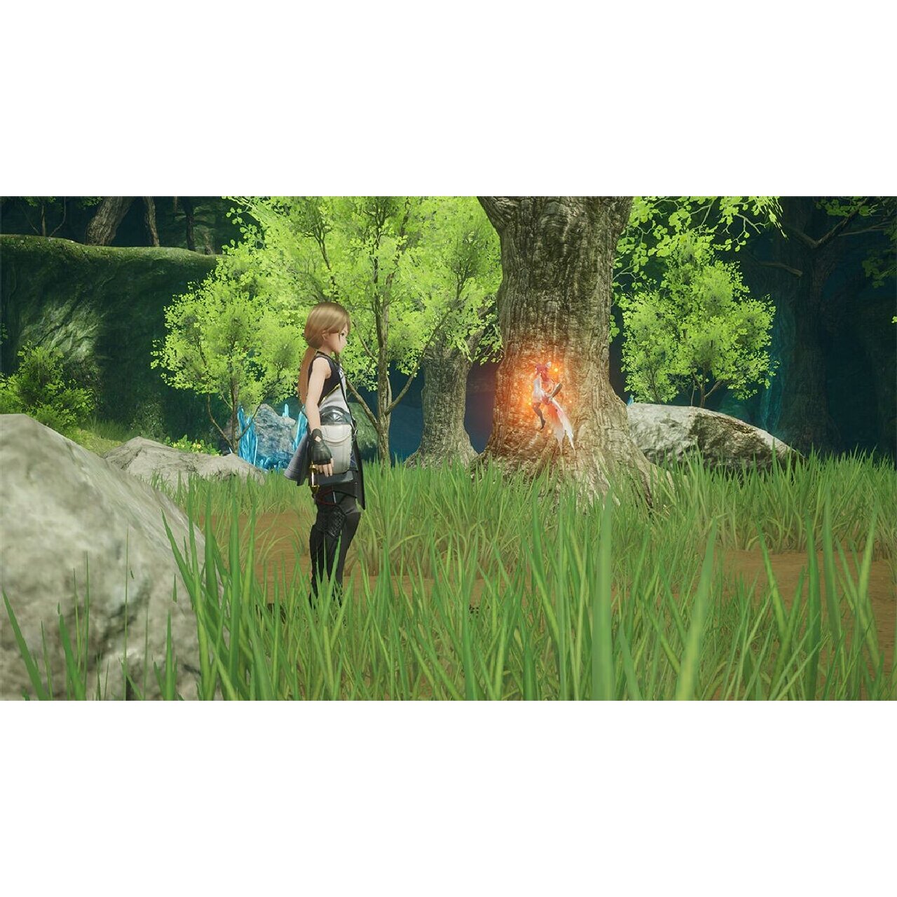 Harvestella (Игра на картридже) [Nintendo Switch, английская версия] — фото 1