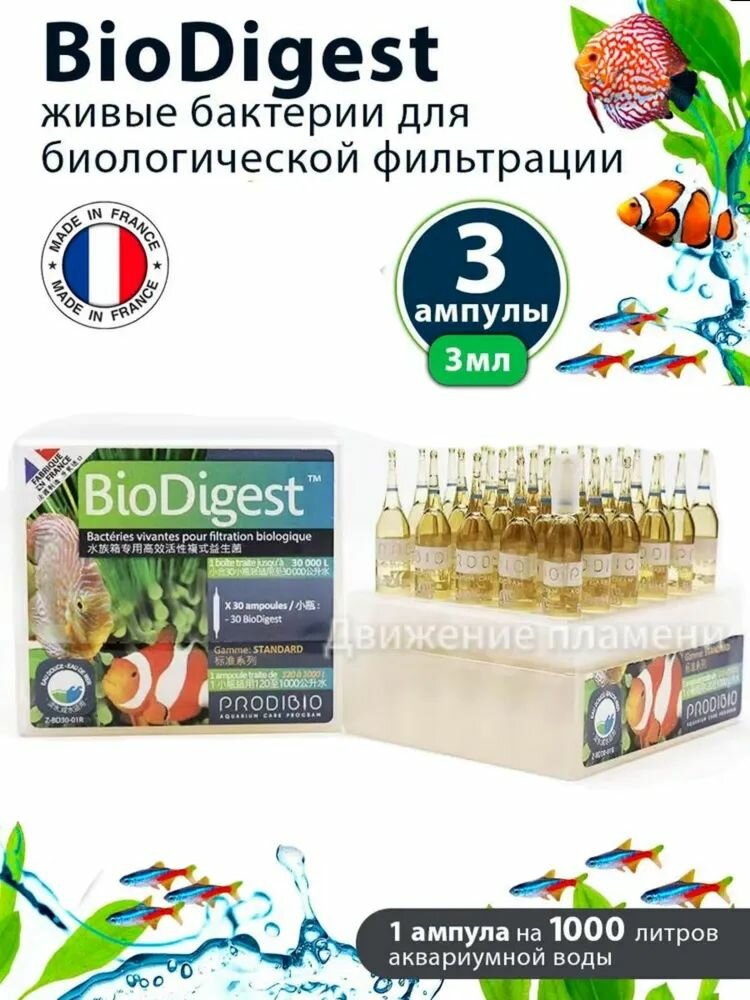 Живые бактерии для биологической фильтрации Prodibio BioDigest, 3 ампулы