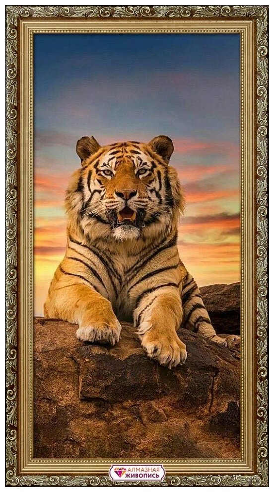 Набор Алмазная живопись #АЖ-4142 Довольный тигр, Алмазная Мозаика, 30 х 60 см