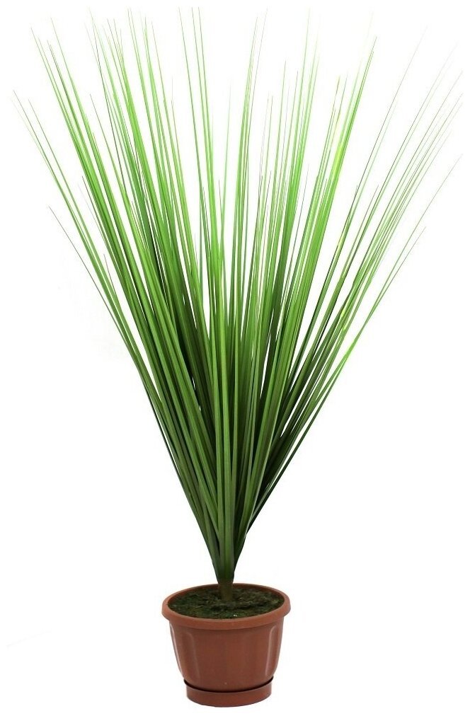 Искусственная осока А-00-54 /Искусственные цветы для декора/ Декор для дома