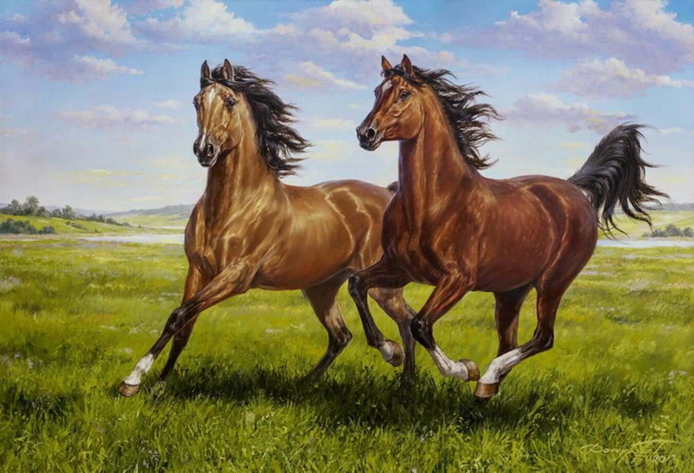 Вышивка крестиком 46х56 - Пара лошадей бегут