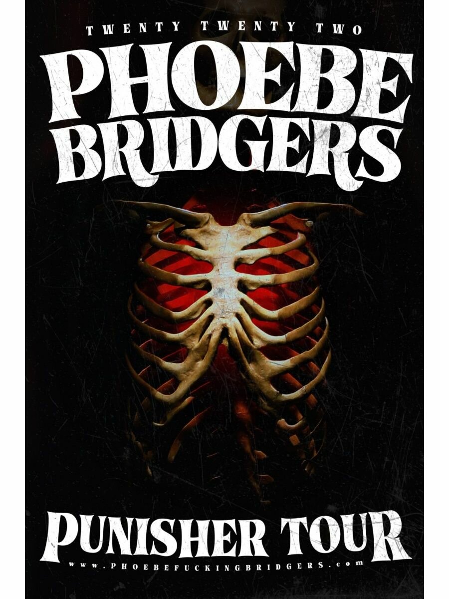 Постер "Phoebe Bridgers Punisher Tour"
