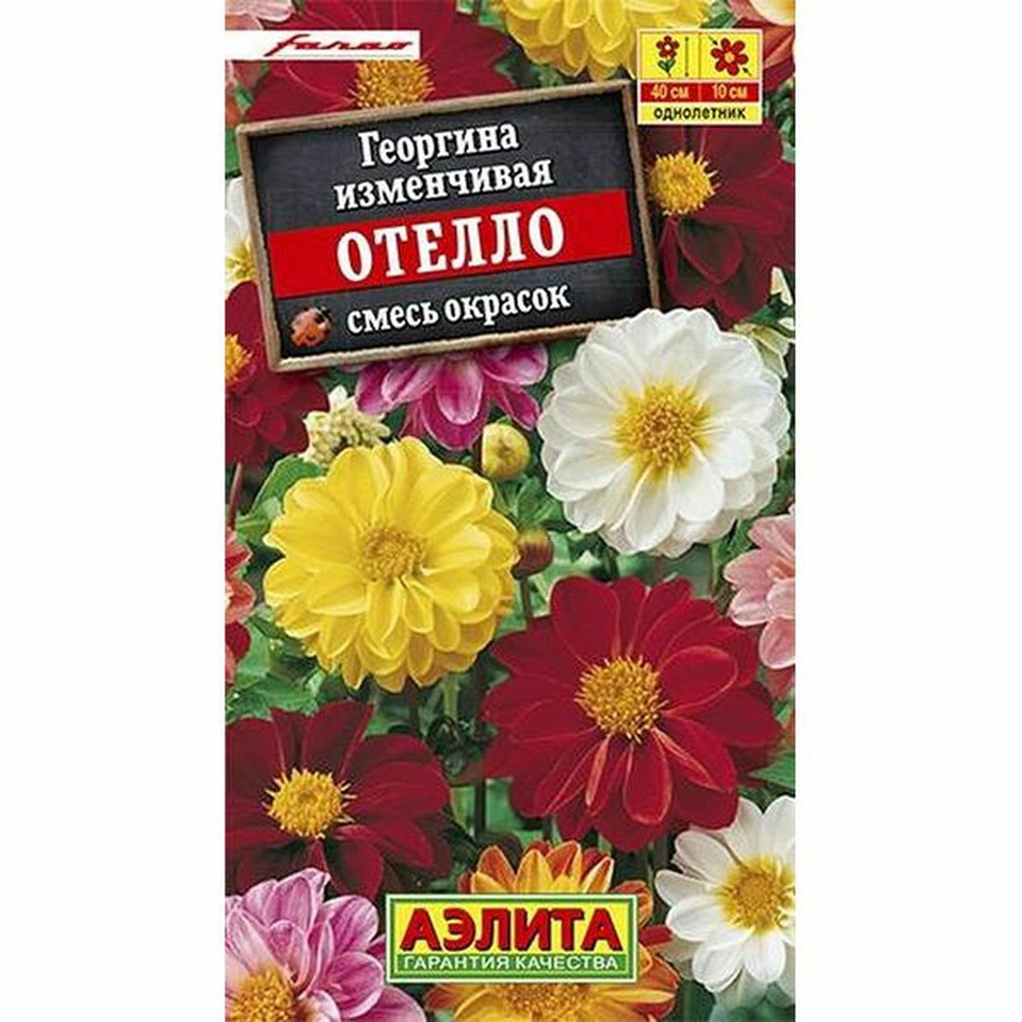 Семена Георгина Отелло, смесь, однолетник, Аэлита, 1 пачка - 7 семян