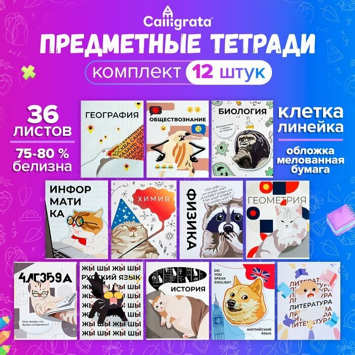 Набор предметных тетрадей 36 листов Животные мемы, 12 предметов, серые листы