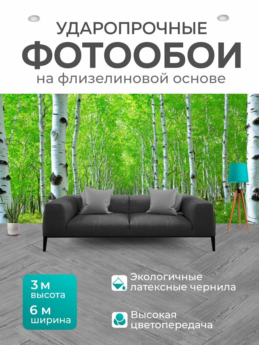 Фотообои моющиеся ударопрочные "Старая берёзовая роща, белые стволы на фоне ярко-зелёной листвы" 600x300 см. флизелиновые на стену