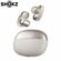 Shokz OpenDots ONE E310 White