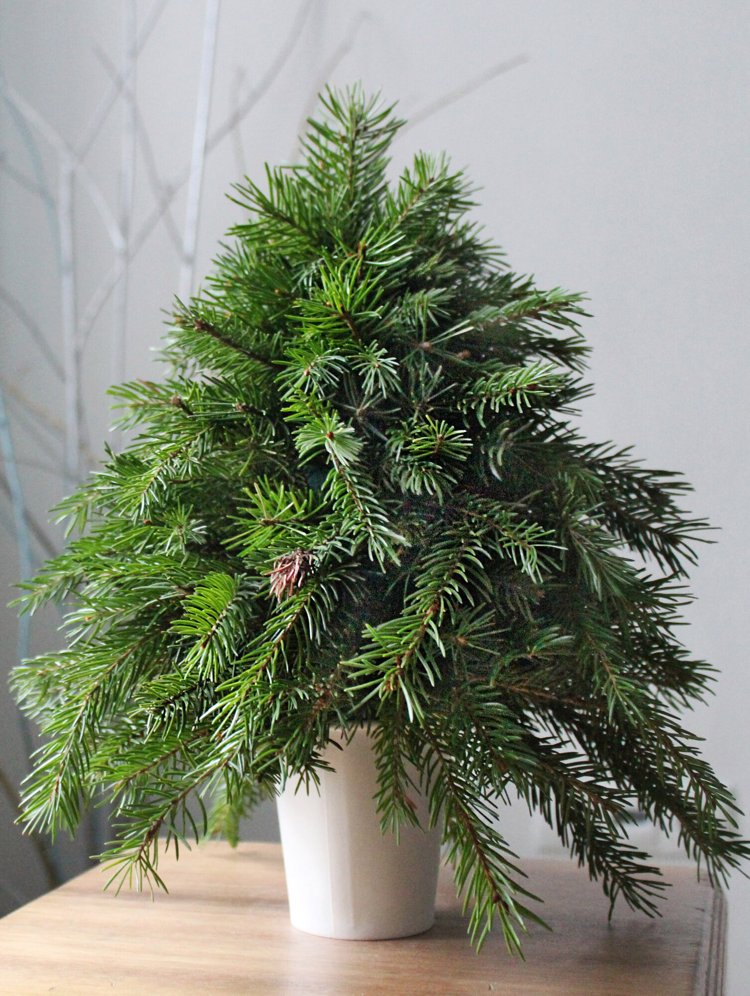 Ёлочка новогодняя "Живая хвоя" S, ароматные ветви ели, собрана на флористической губке