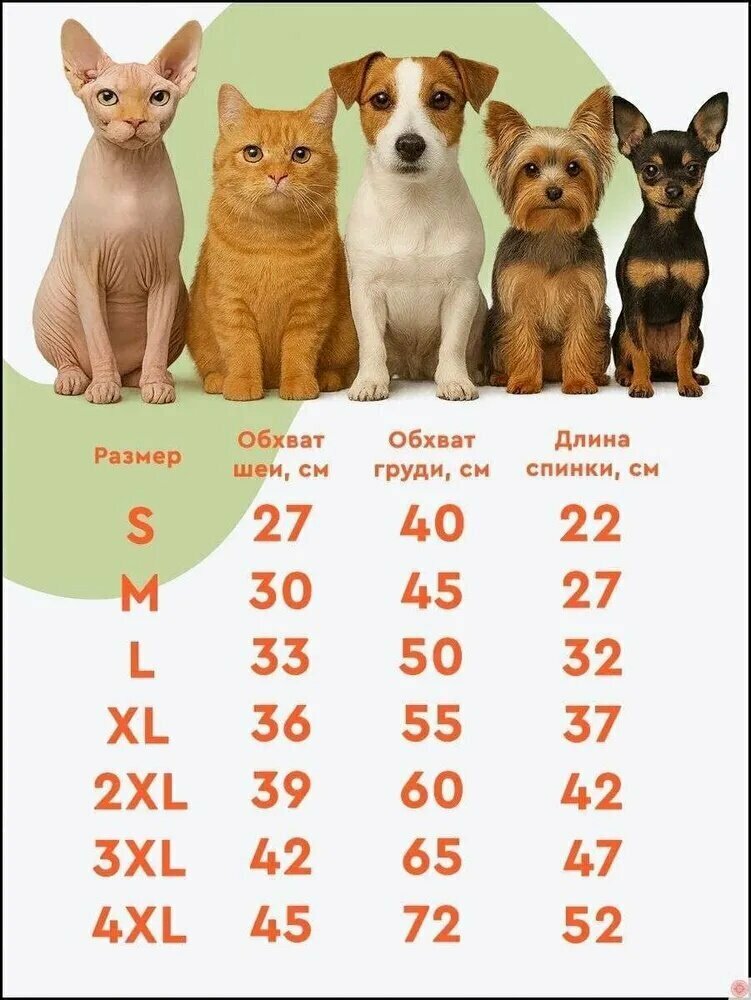 Одежда для животных — фото 1