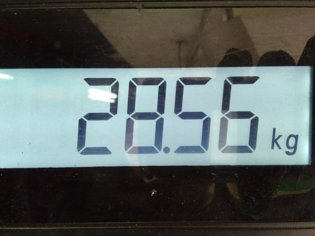 Дверь задняя левая Dodge Charger 1 (LX) 5174197AG арт. 766331