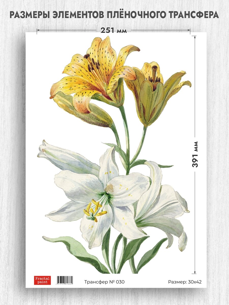 Трансфер для декупажа переводной рисунок для поверхностей 030 (А3)