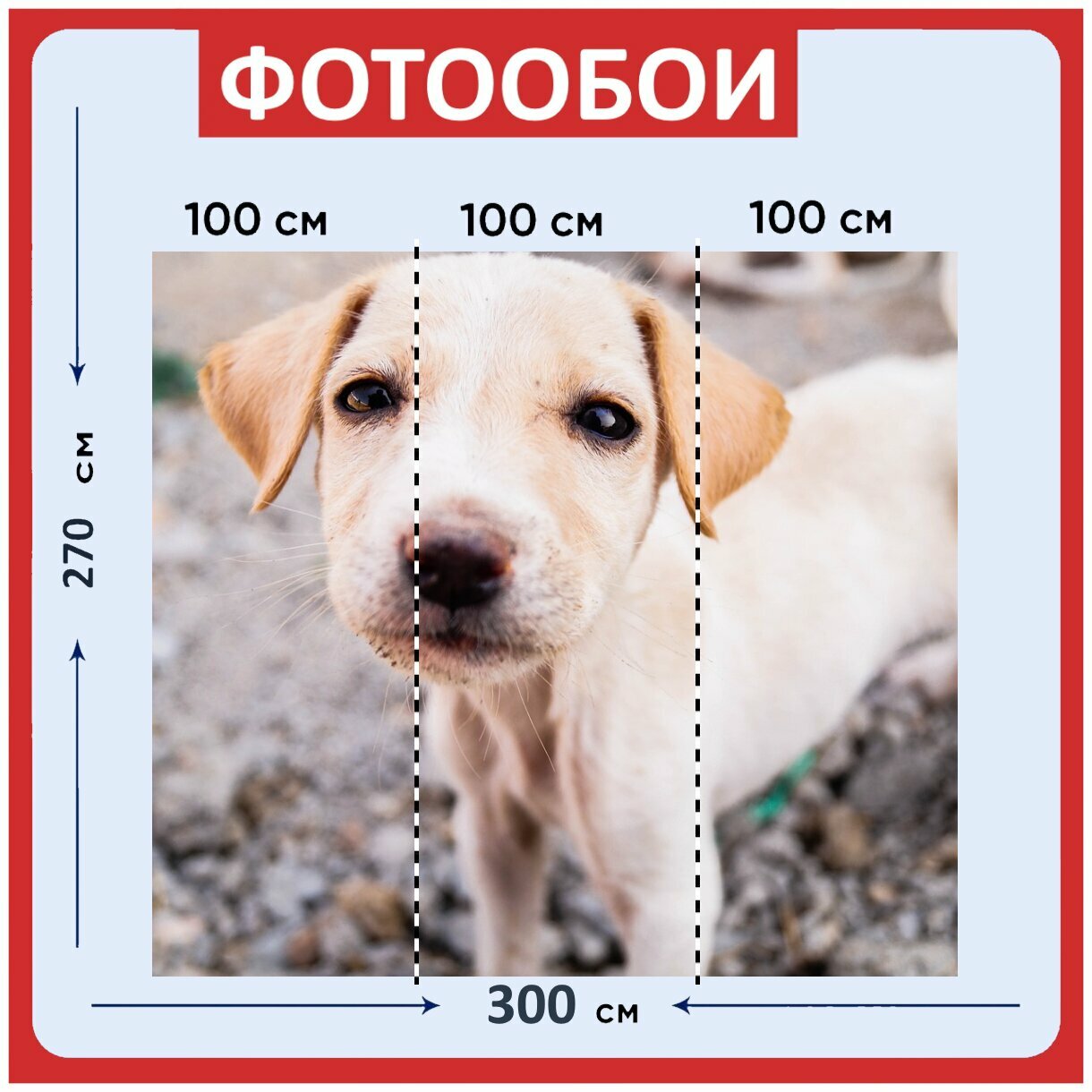 Фотообои ударопрочные моющиеся "Собака, щенок, домашний питомец" 300x270 см. флизелиновые на стену