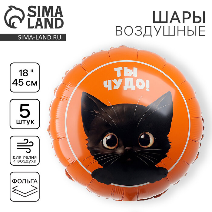 Воздушные шары фольгированные 18 «Котик. Ты чудо», 5 шт.