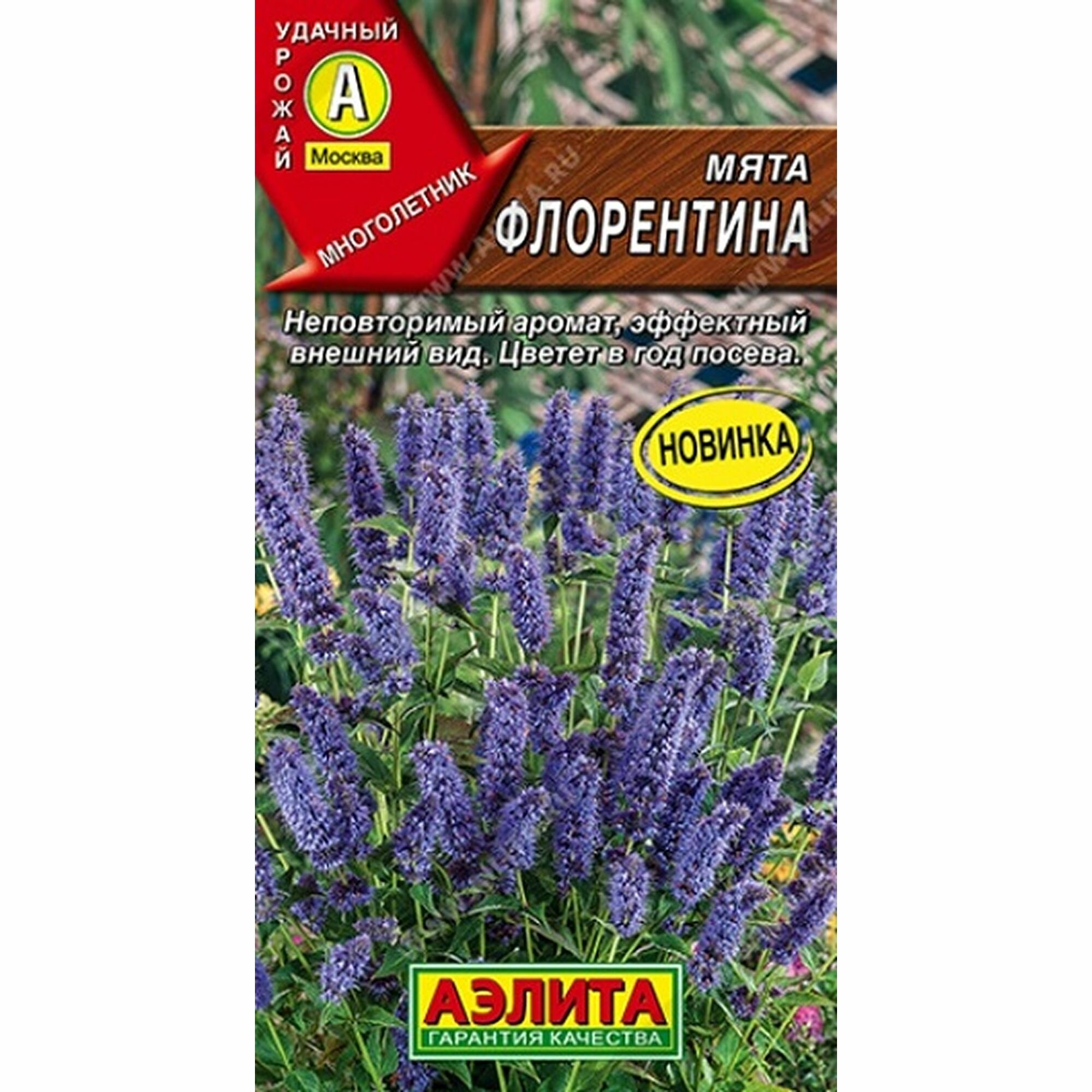 Семена Мята Флорентина, Аэлита, 1 пачка - 0.05г семян