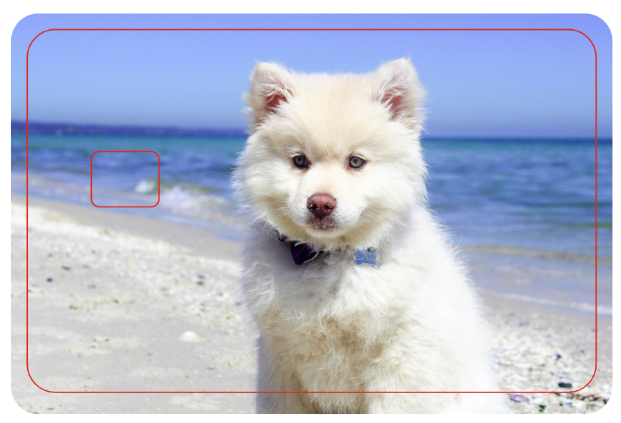 Наклейка на банковскую карту, стикер на карту, самоед