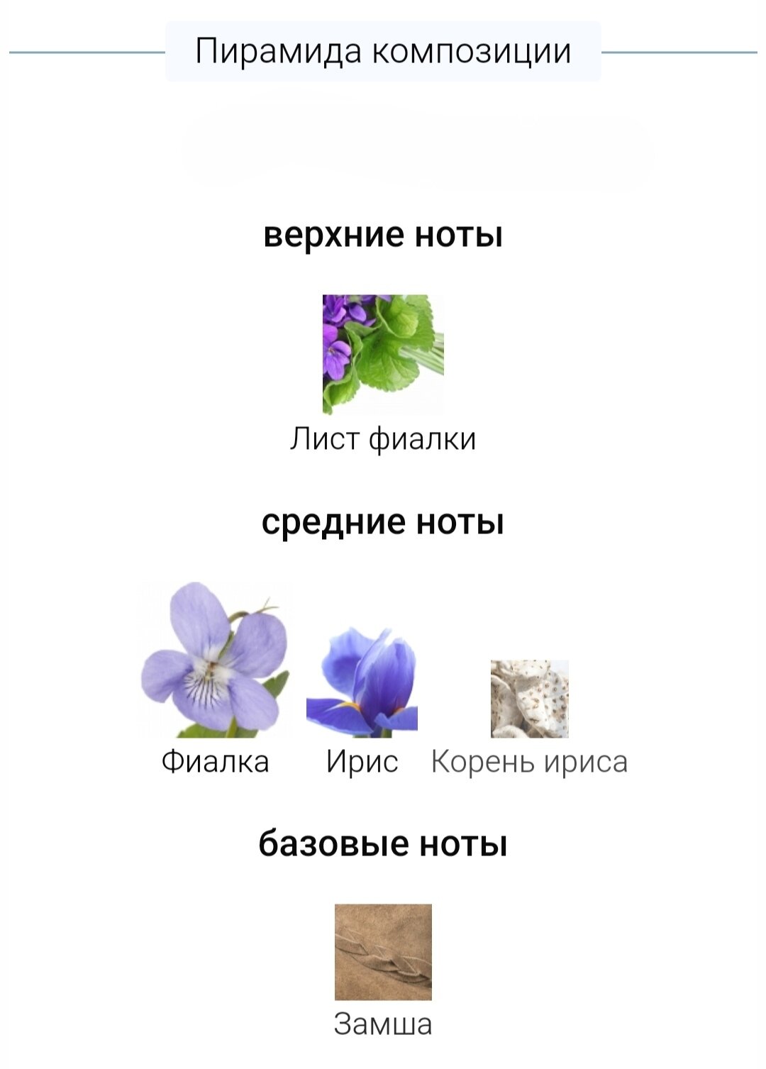 Духи ручной работы по мотивам 'Flora by Generous Violet', для женщин — фото 1
