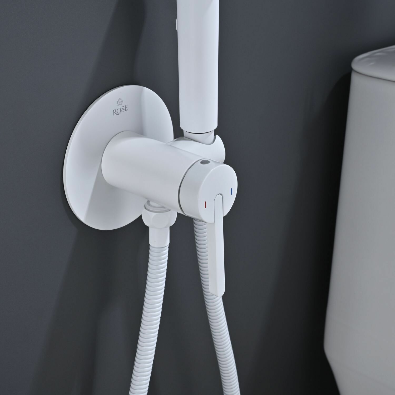 Гигиенический душ Rose R235C, встроенный, белый